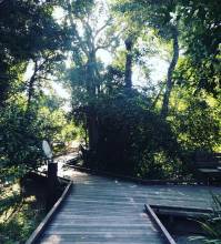 Myora Springs | Ray White North Stradbroke Island